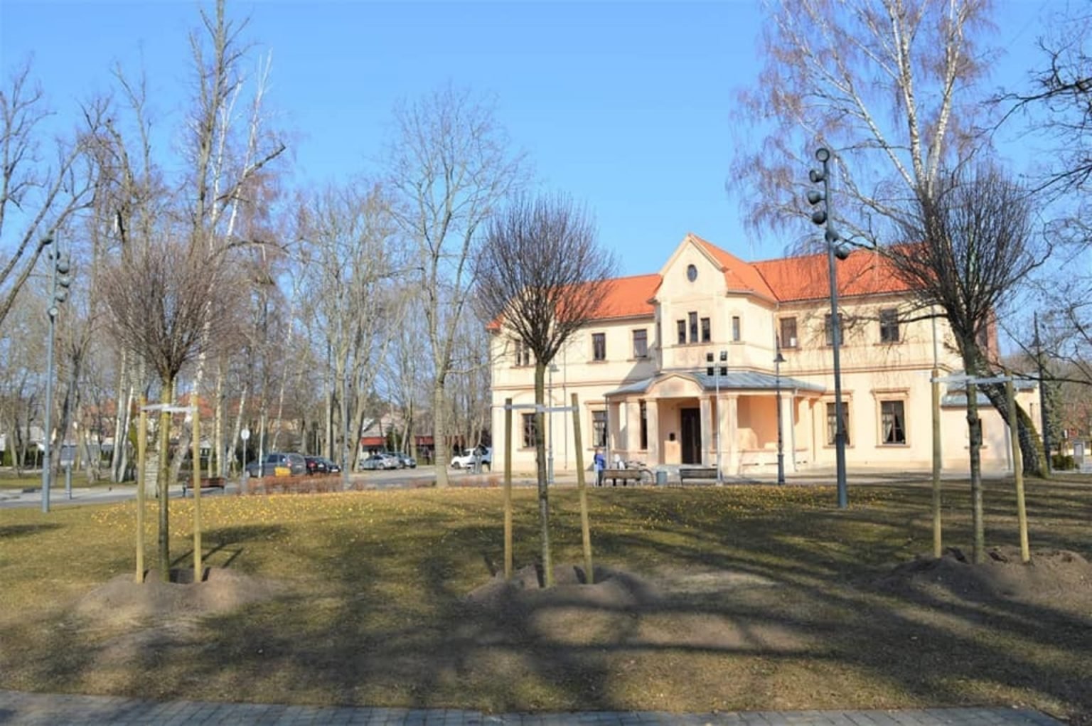 Palanga taps dar žalesnė – bus pasodinta apie 300 naujų medžių ir krūmų ...